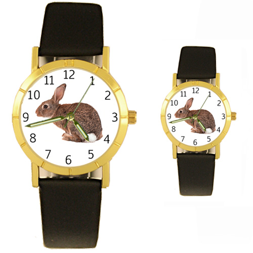 Rabbit Watchs at Animalden