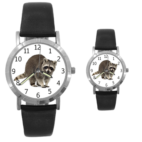 Raccoon Watchs at Animalden