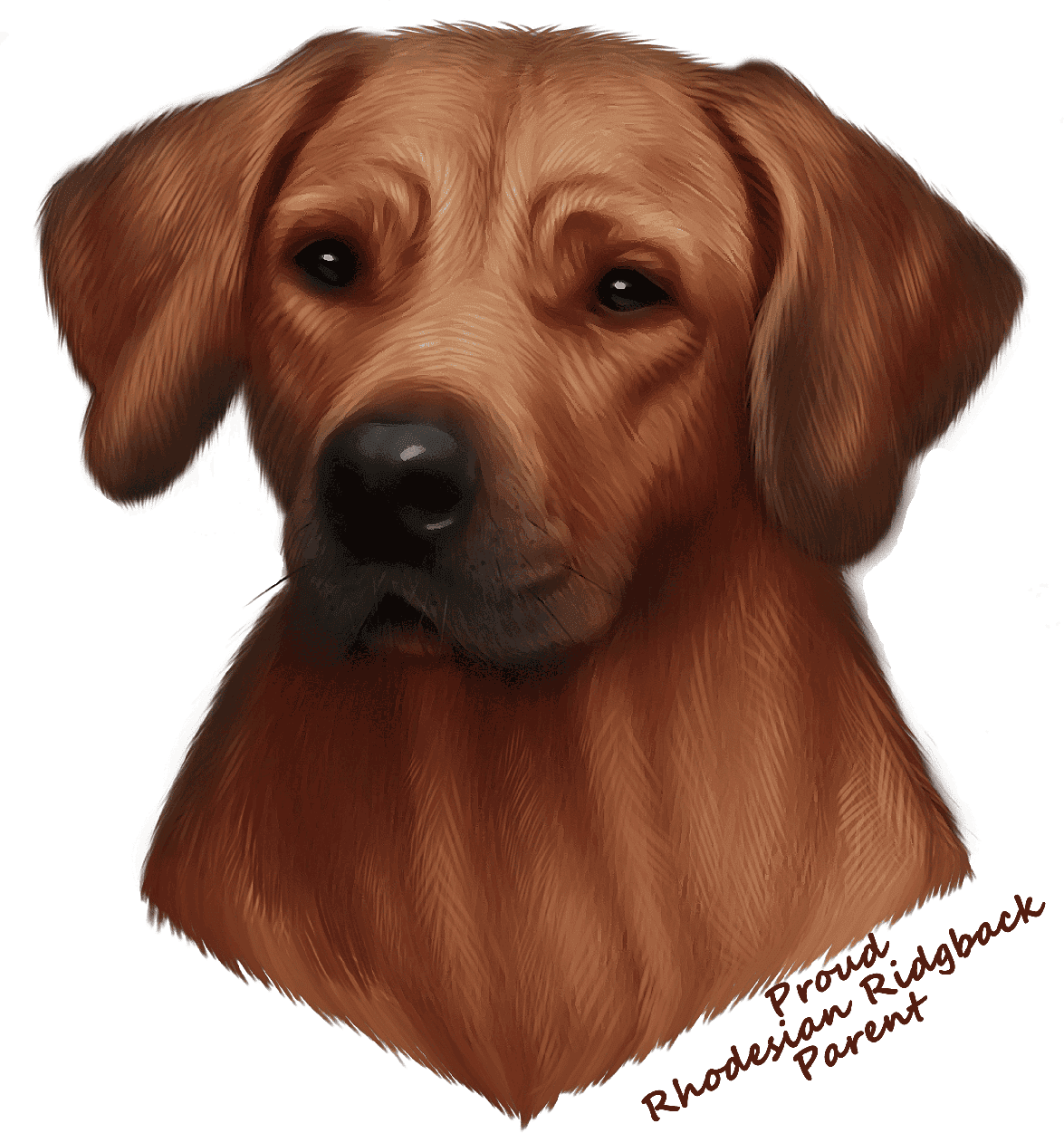 Sterling Silver Rhodesian Ridgeback Body W/Lion Necklace at Animalden