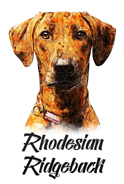 Rhodesian Ridgeback T-Shirt - Vivid Colors - Animal Den