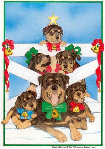 Rottweiler Christmas Cards