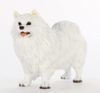 Samoyed Figurine, Figurines, Samoyed Gifts | Animalden.com
