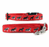 Schnauzer Collar & Leash, Collar, Schnauzer Gifts | Animalden.com
