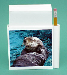 Sea Otter Merchandise & Gifts - AnimalDen.com
