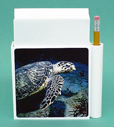 Sea Turtle Gifts & Products - AnimalDen.com