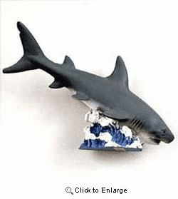 Shark Magnet, Magnets, Shark Gifts | Animalden.com