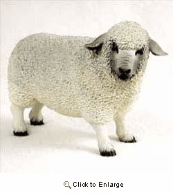 Sheep Figurine, Figurines, Sheep Gifts | Animalden.com