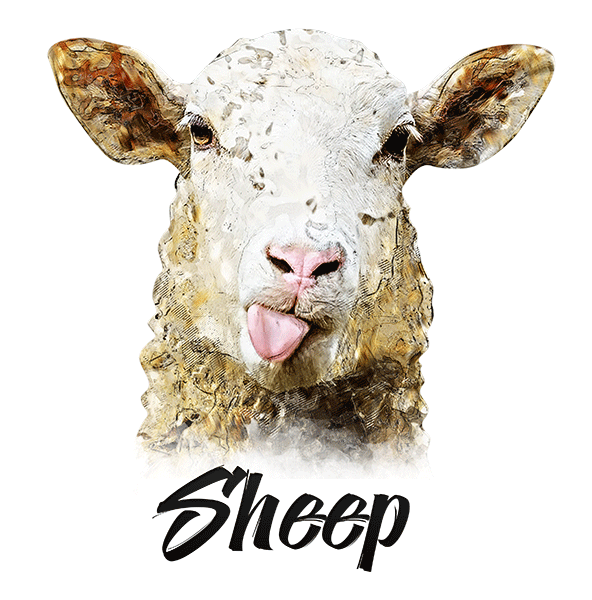 Sheep Gifts and Merchandise – Animal Den