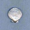 Shell Pin & Shell Gifts | Animalden.com