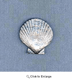 Shell Pin & Shell Gifts | Animalden.com