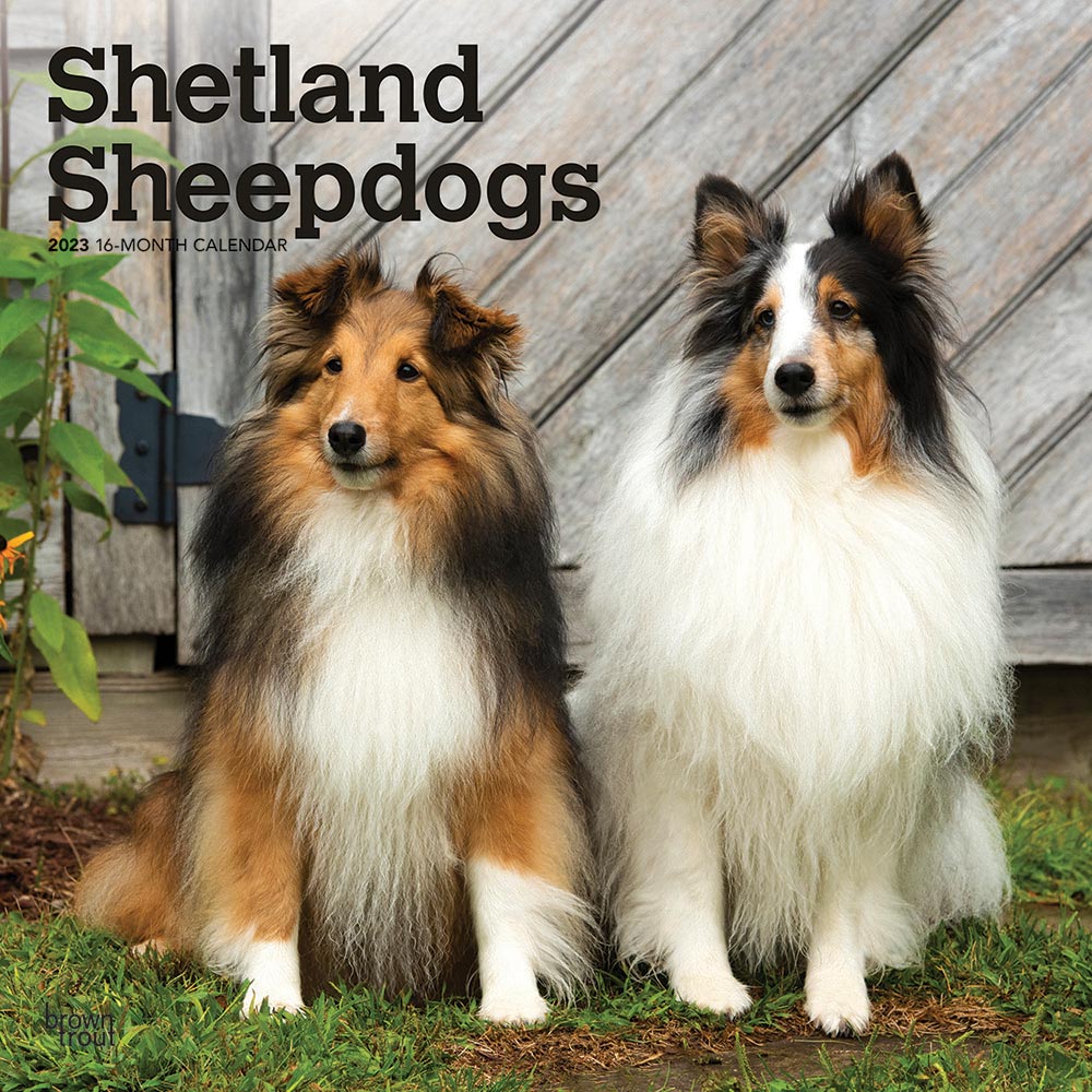 Shetland Sheepdog Gifts, Calendars, T-Shirts & More