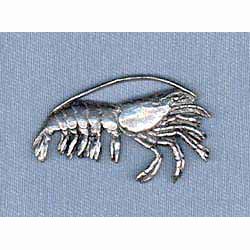 Shrimp Gifts, Merchandise & Products - AnimalDen.com