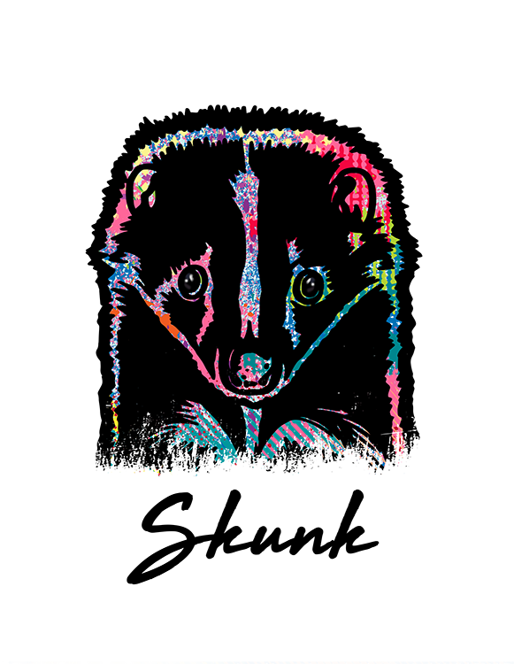 Skunk T Shirt Colorful Abstract | Animalden.com