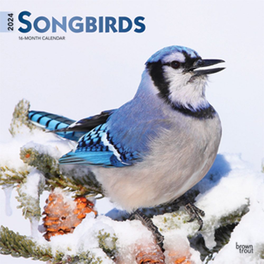 Birds Wall Calendars 2022 Animal Den