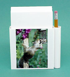 Squirrel Hold-a-Note, Note Holder, Squirrel Gifts | Animalden.com