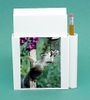 Squirrel Hold-a-Note, Note Holder, Squirrel Gifts | Animalden.com
