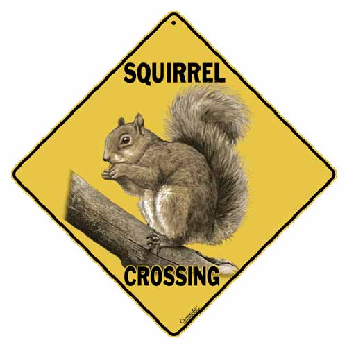 Squirrel Sign, Guard Sign, Squirrel Gifts | Animalden.com