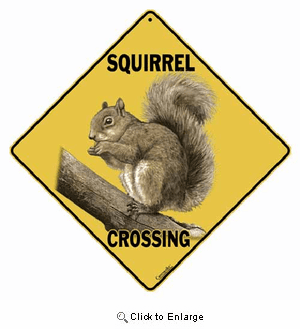 Squirrel Sign, Guard Sign, Squirrel Gifts | Animalden.com