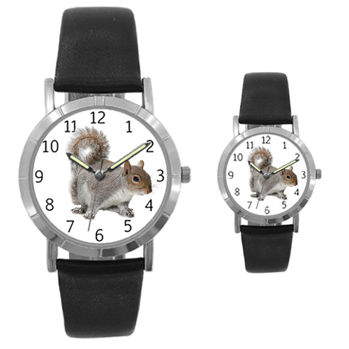 Squirrel Watchs at Animalden