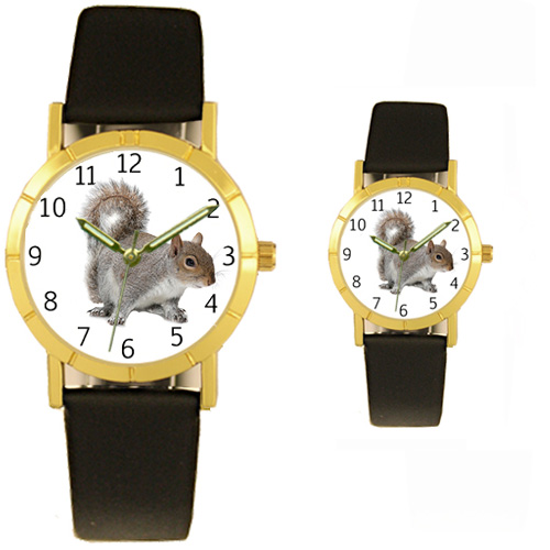 Squirrel Watchs at Animalden