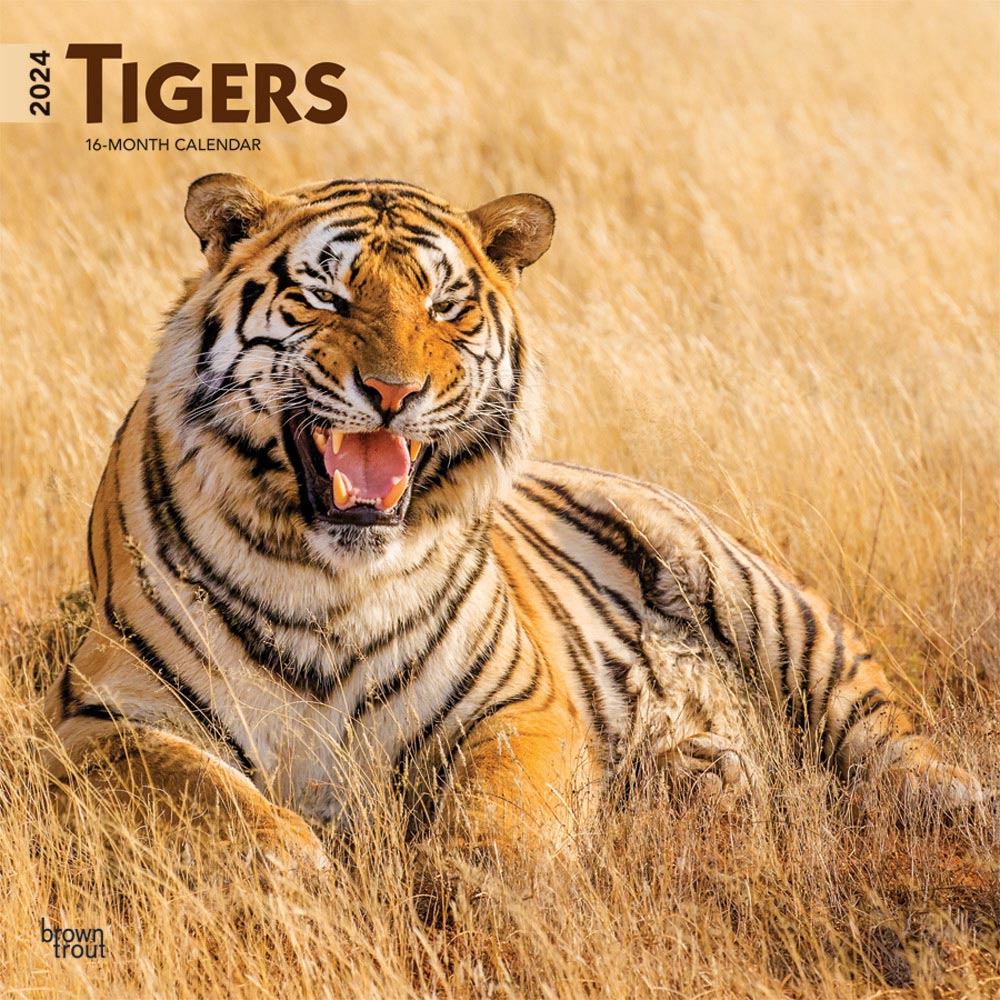 Tiger Gifts