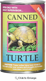 Turtle Canned Critter, Stuffed Animal, Turtle Gifts | Animalden.com
