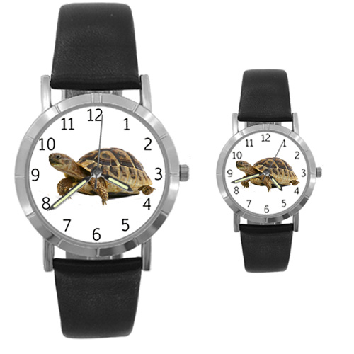 Turtle Gifts