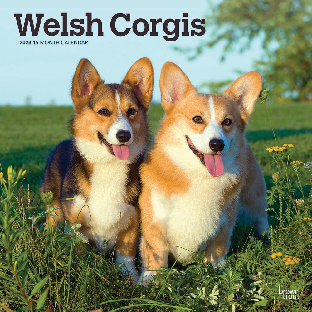 Corgi Gifts, Jewelry & Corgi Products - AnimalDen.com