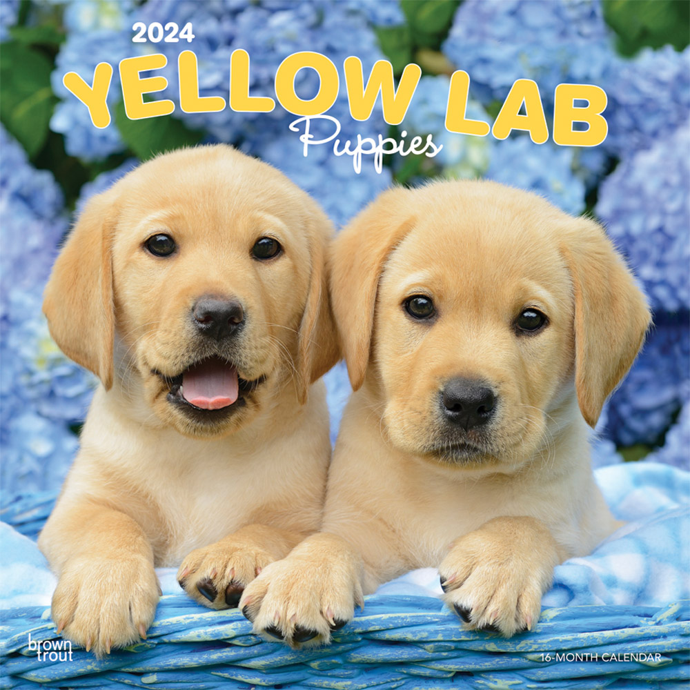 Yellow Lab Dog Lover Gifts - AnimalDen.com