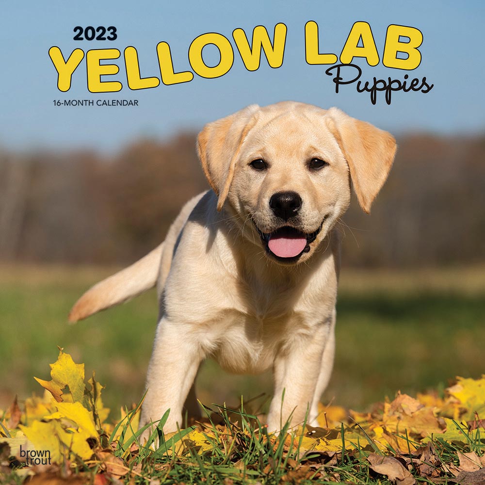 Yellow Lab Dog Lover Gifts - AnimalDen.com