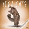 Yoga Cats Calendar 2024|Animal Den