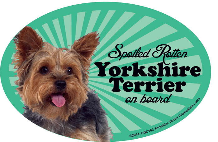 Yorkshire Terrier Car Magnet - Spoiled Rotten - Animal Den