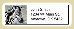 Zebra Gifts