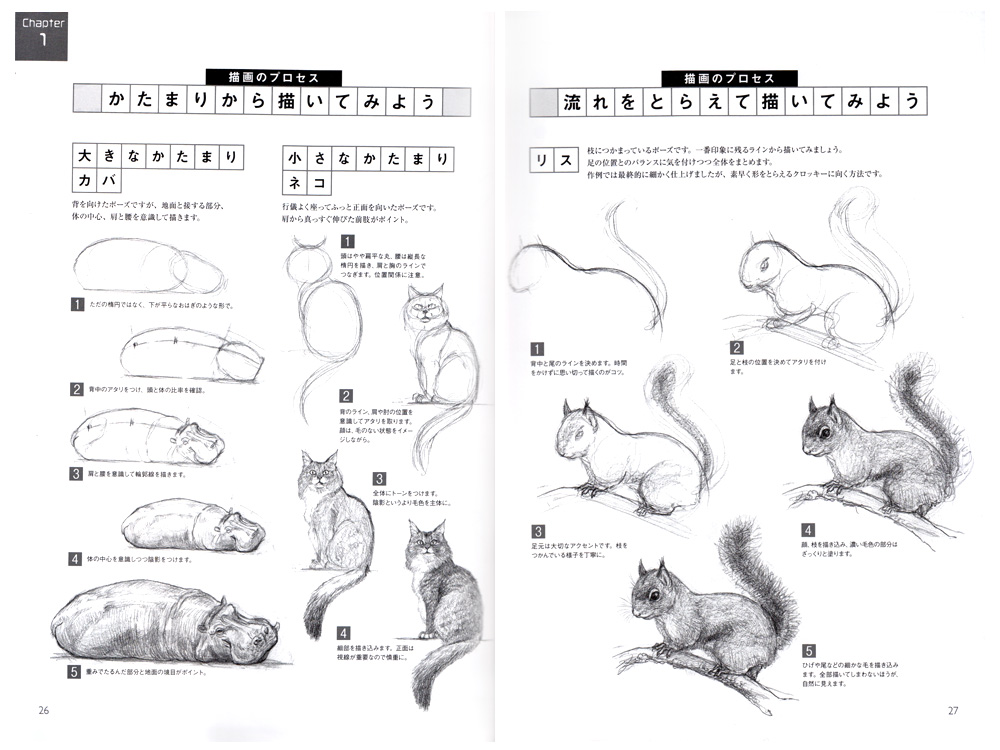 Animal Drawing - Skeleton and Proportion of Different Animals Reference ...