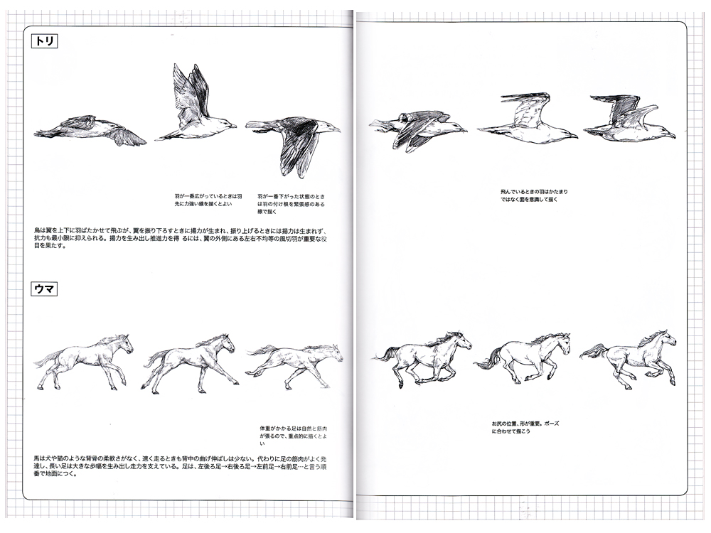 Animal Pose Collection - 150 Species of Shape and Movement Reference ...