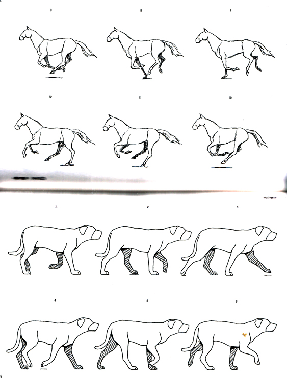 Animation Handbook Guide Book - Anime Books