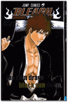 Bleach - Anime Books