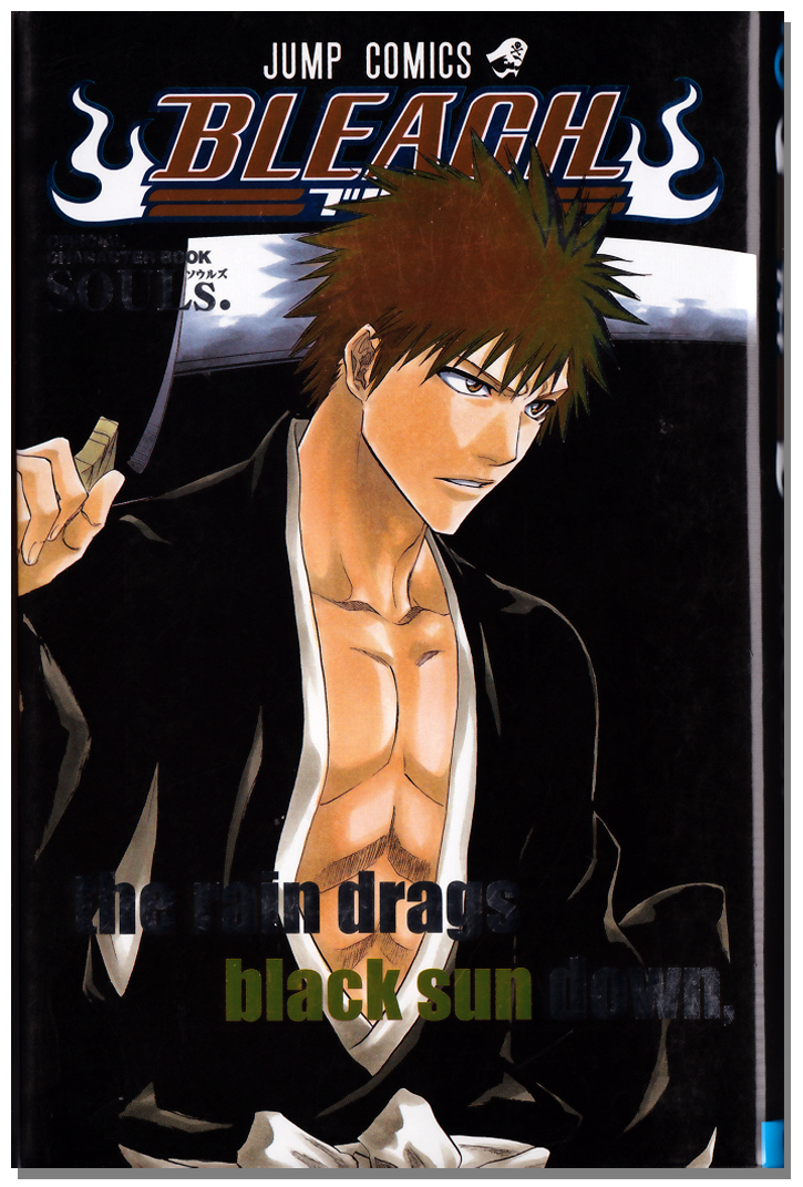 BLEACH Official Character book - SOULs. - Anime Books