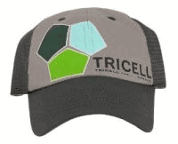 Cap: Resident Evil 5 - Tricell - Anime Books