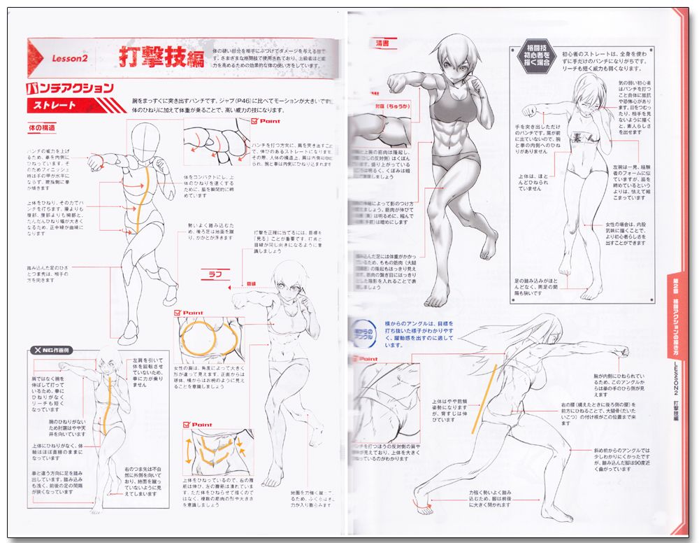 Fighting Pose Reference