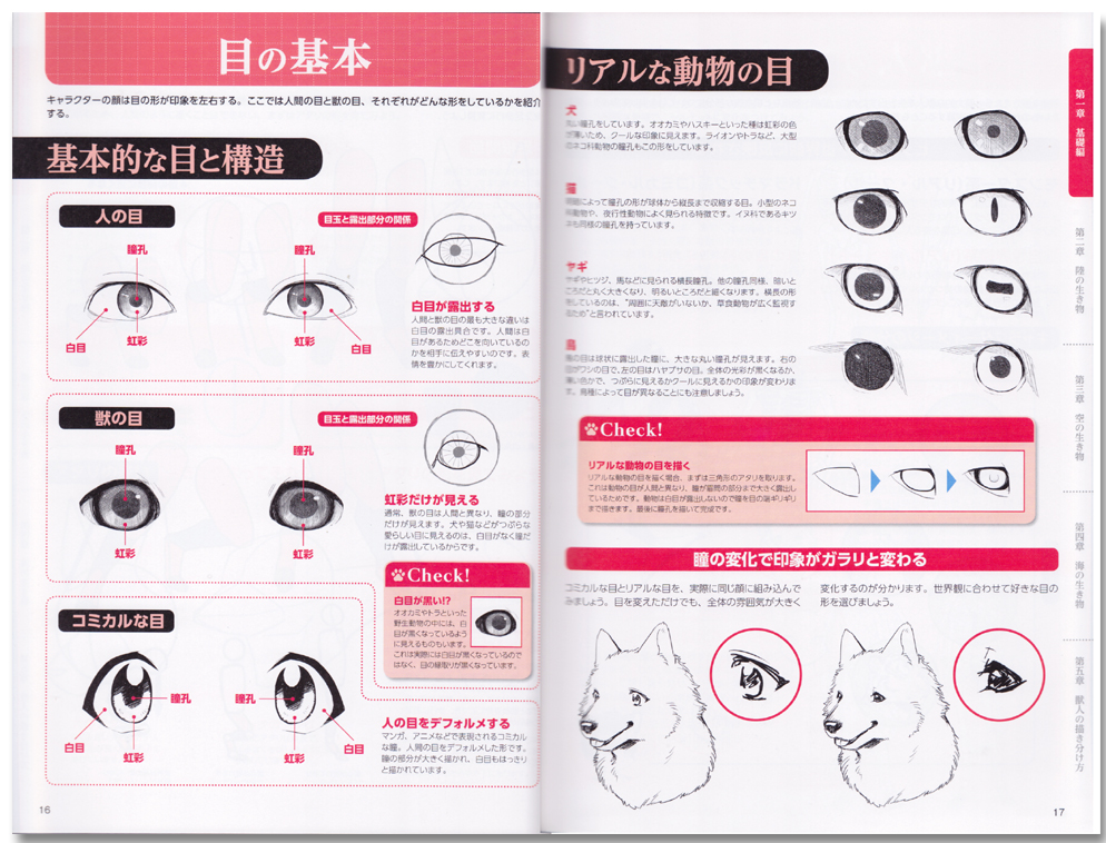 How to Draw Beast Humanoids Reference Book - Anime Books