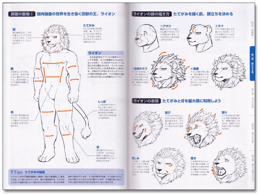 How to Draw Beast Humanoids Reference Book - Anime Books