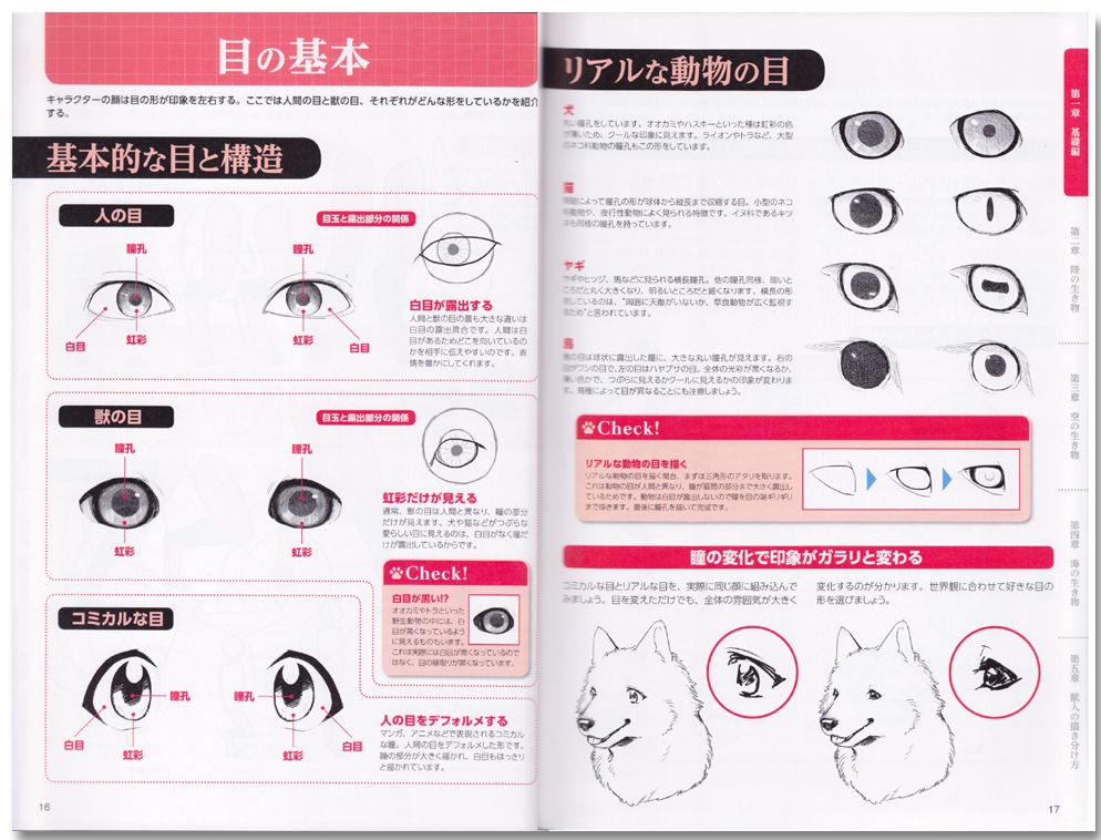 How to Draw Beast Humanoids Reference Book - Anime Books