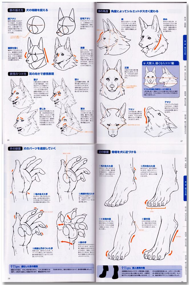 How to Draw Beast Humanoids Reference Book - Anime Books