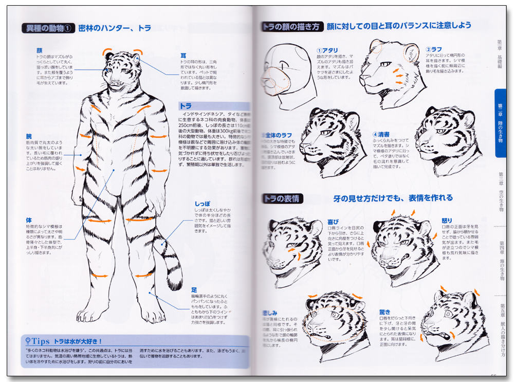 How to Draw Beast Humanoids Reference Book - Anime Books
