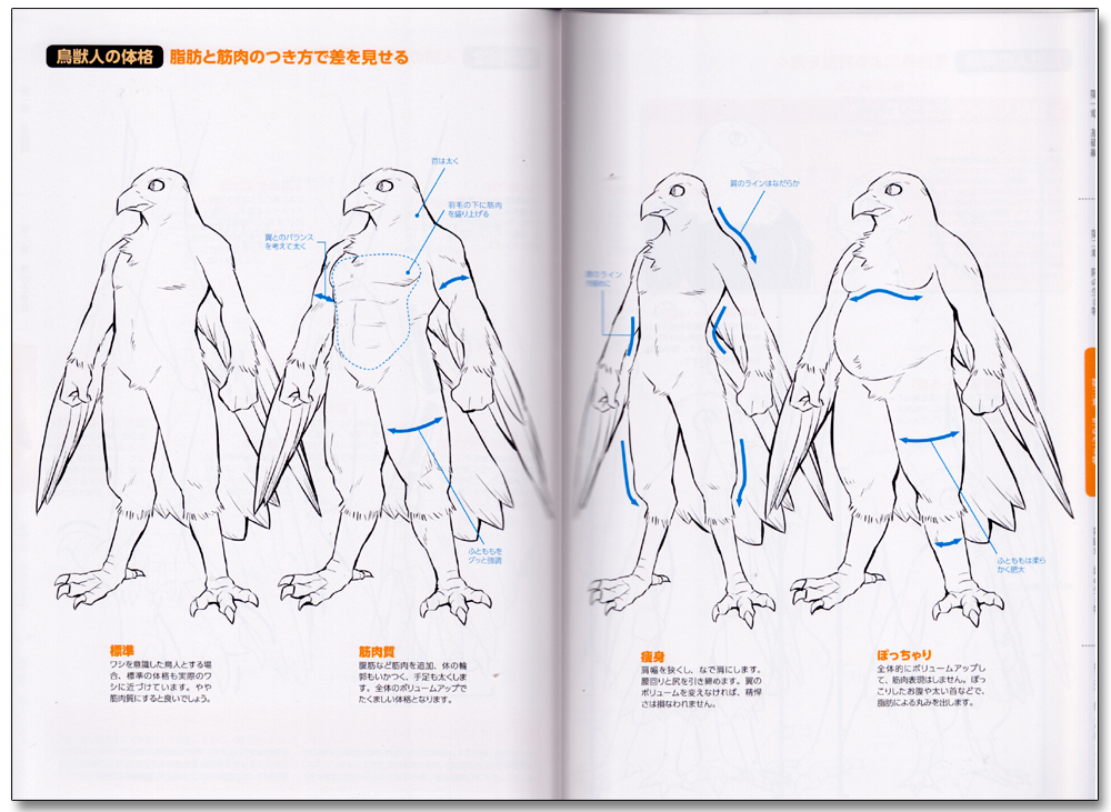 How to Draw Beast Humanoids Reference Book - Anime Books