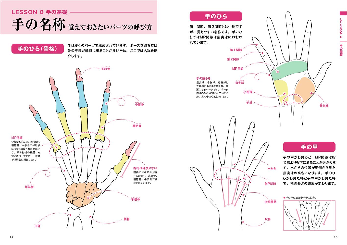 How to Draw Beautiful Hands Reference Book - Anime Books
