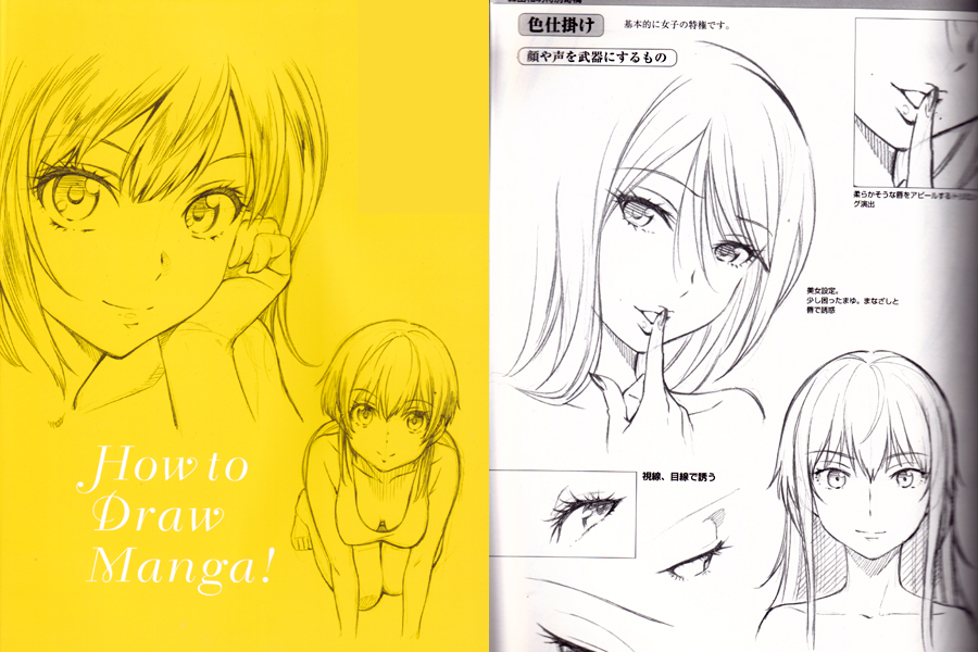 How to Draw Manga Characters' Facial Expressions Drawing Reference Book ...