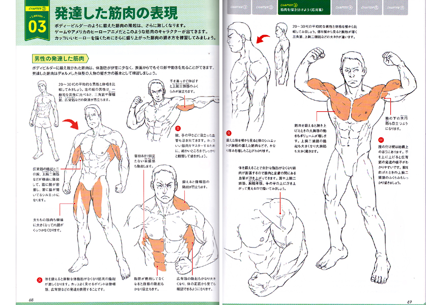 How to Draw Muscles From Structure To Movement Reference Book - Anime Books