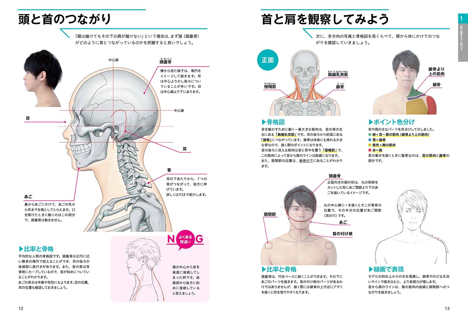 How To Draw Anime Neck And Shoulders